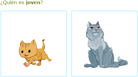 IXL | Recognize adjectives that describe appearance | Spanish