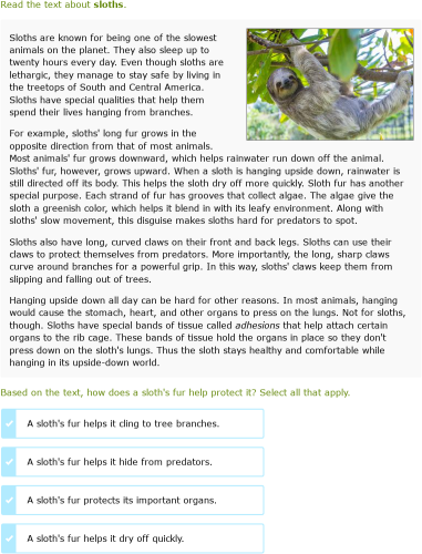 IXL | Read about animals | Intermediate 1 language arts